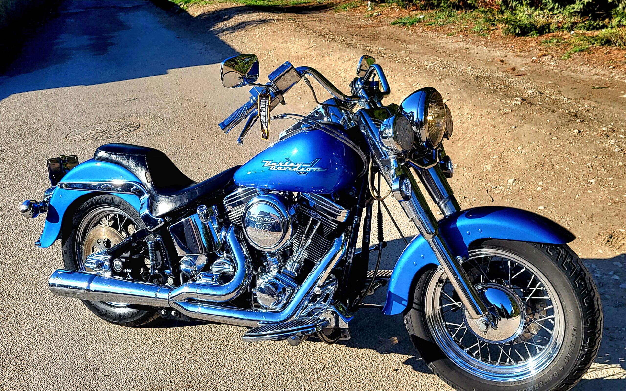 Harley-davidson Softail 88ci - Twin Power